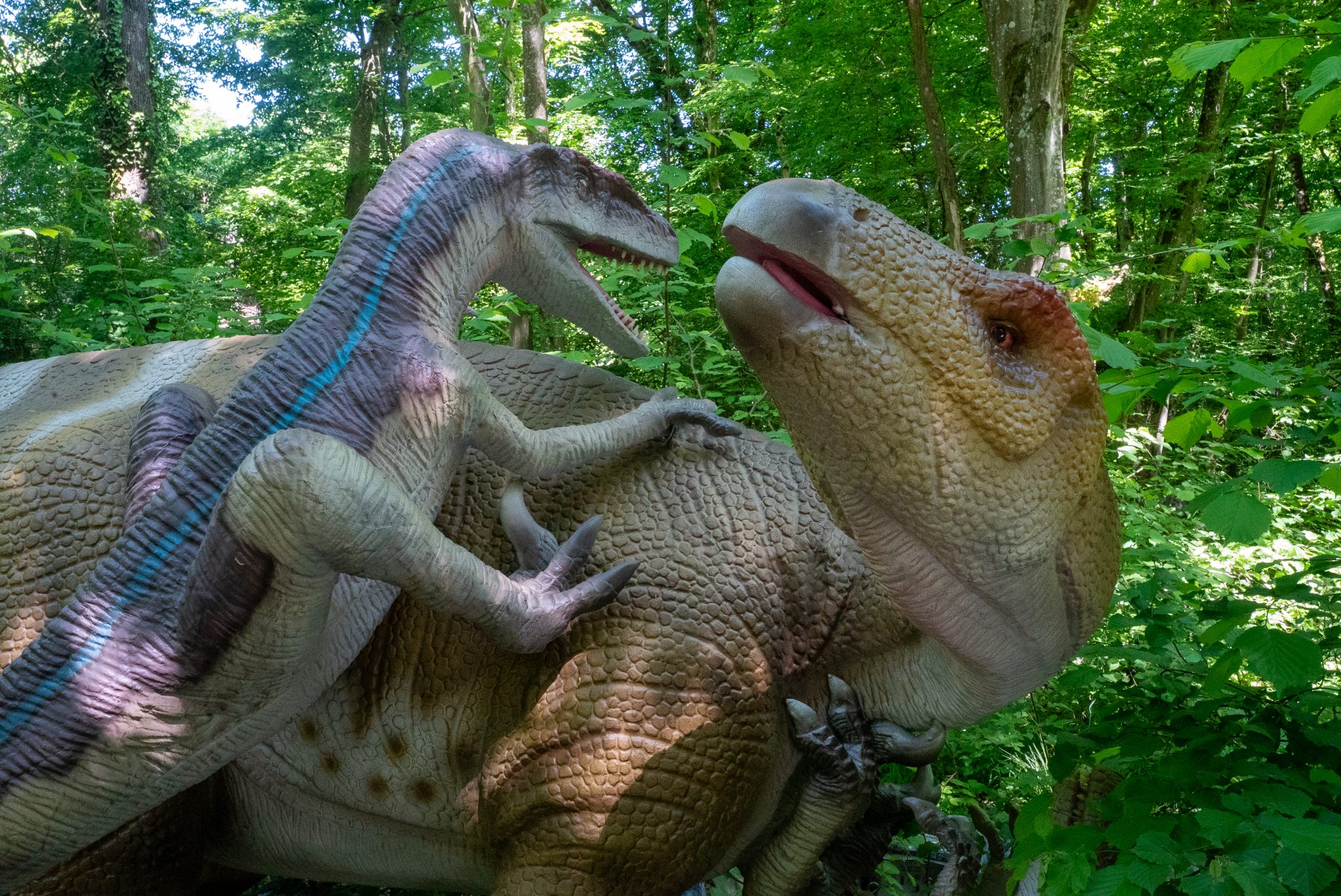 Iguanodon - Zoo Amnéville