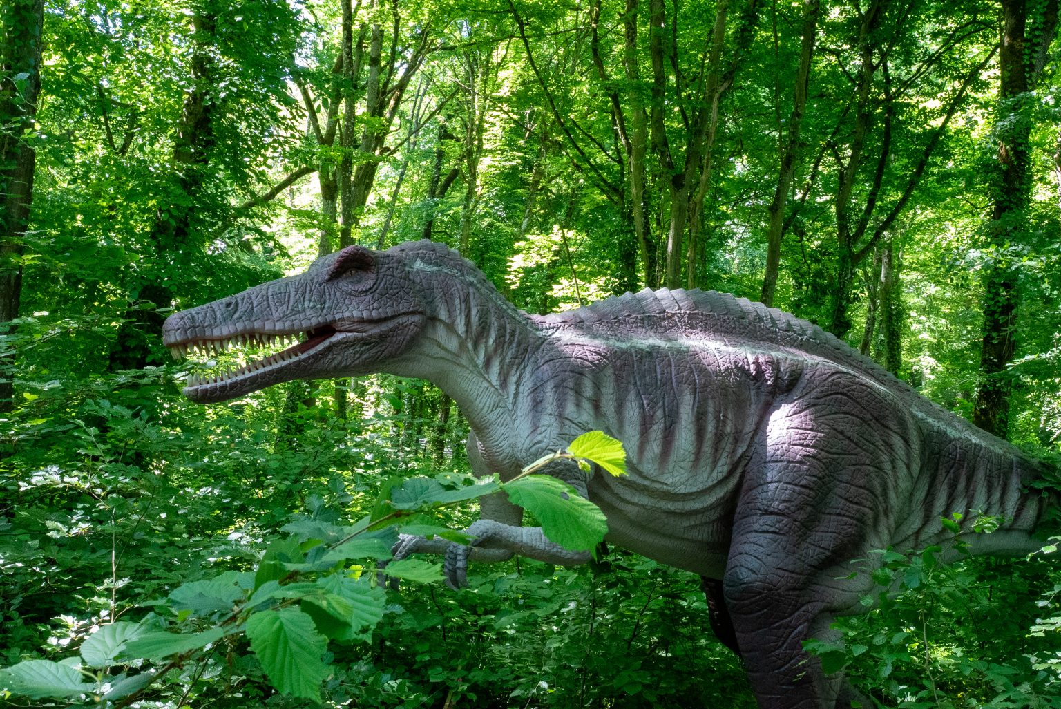 Baryonix - Zoo Amnéville